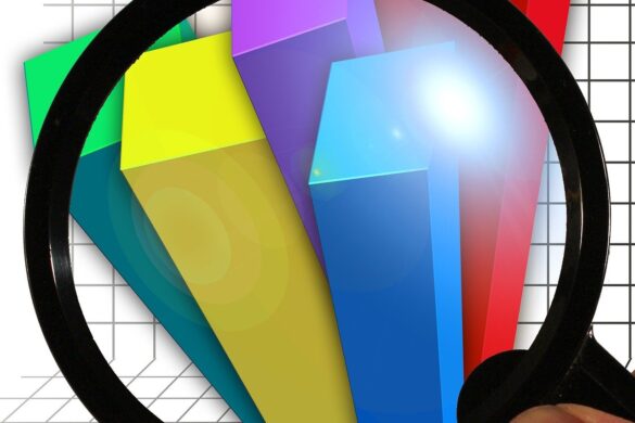 „Svoj na svome“ na terenu: Iskustva, procedura i zablude - Biznis i Finansije